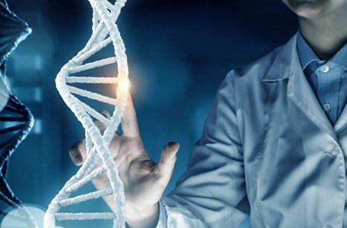 Lactic Acid Bacteria and the Fight Against Rare Genetic Diseases ...